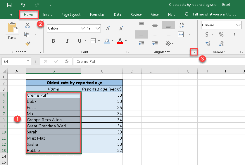 How to☝️ Indent Cell Data in Excel - Spreadsheet Daddy