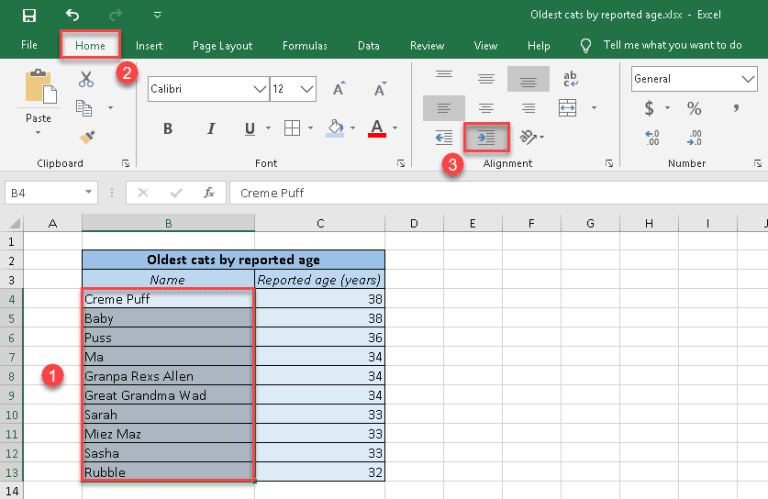 How to☝️ Indent Cell Data in Excel - Spreadsheet Daddy