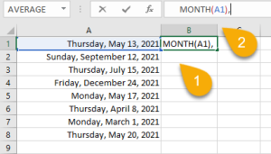 How to☝️ Extract the Month from a Date in Excel - Spreadsheet Daddy